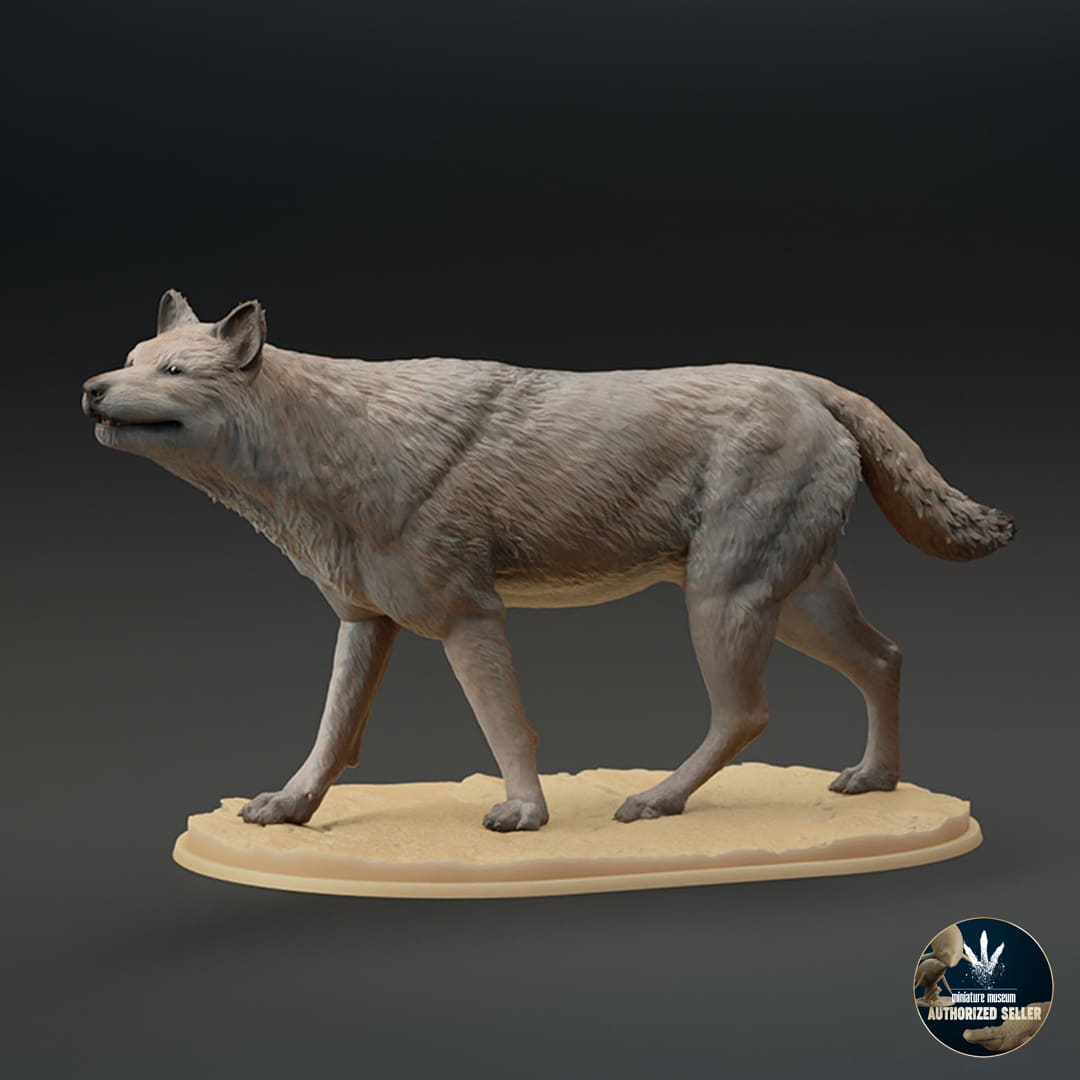 Aenocyon dirus – Dinosauria Creatures