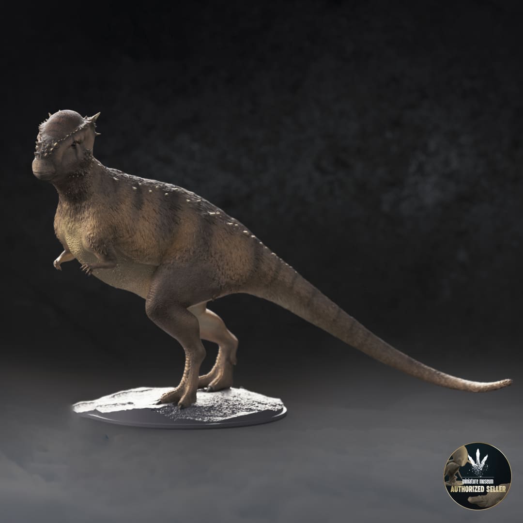 Alaskacephale gangloffi – Dinosauria Creatures