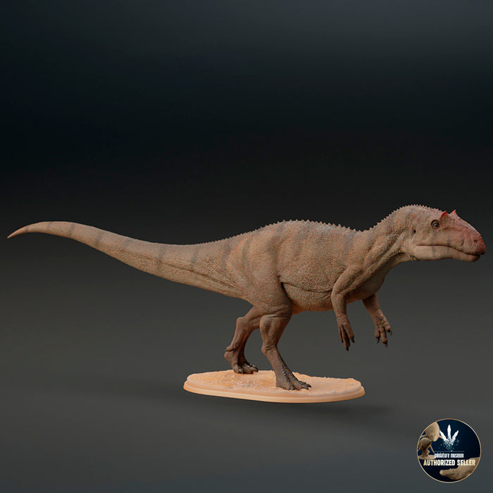 Allosaurus fragilis – Dinosauria Creatures
