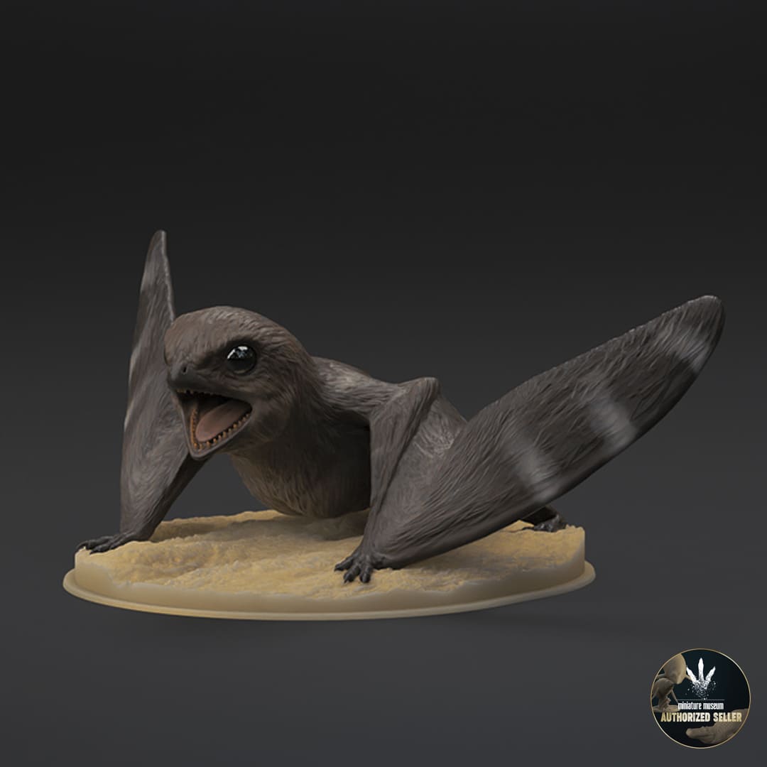 Anurognathus ammoni – Dinosauria Creatures