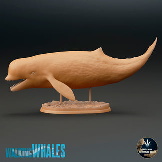 Aulophyseter morricei – Dinosauria Creatures