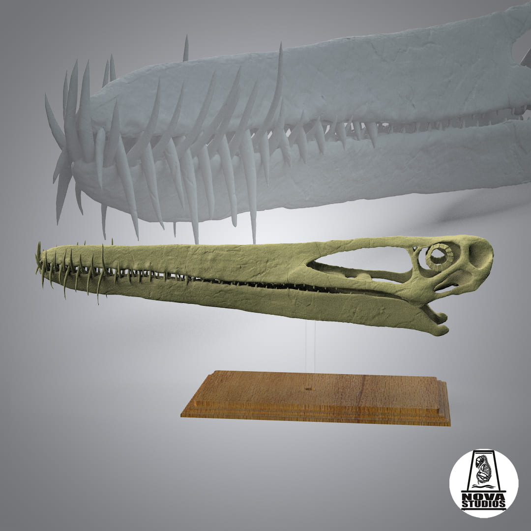 Boreopterus – Dinosauria Creatures