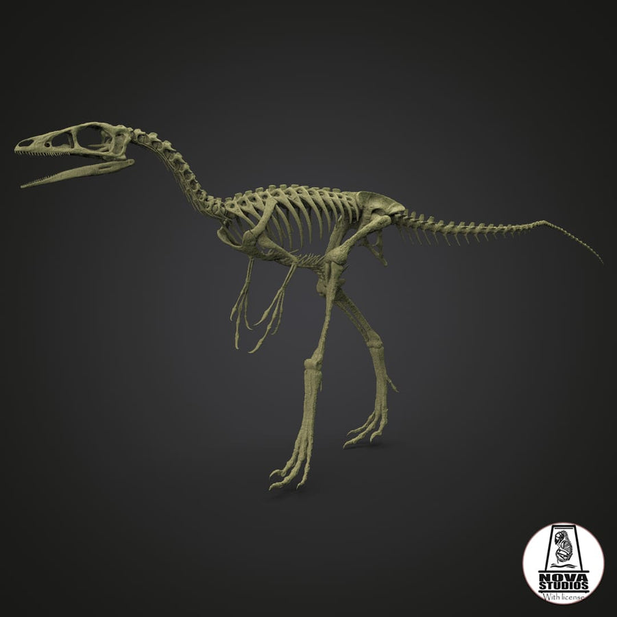 Dinosauria Creatures | Physical replicas of Nova Studios