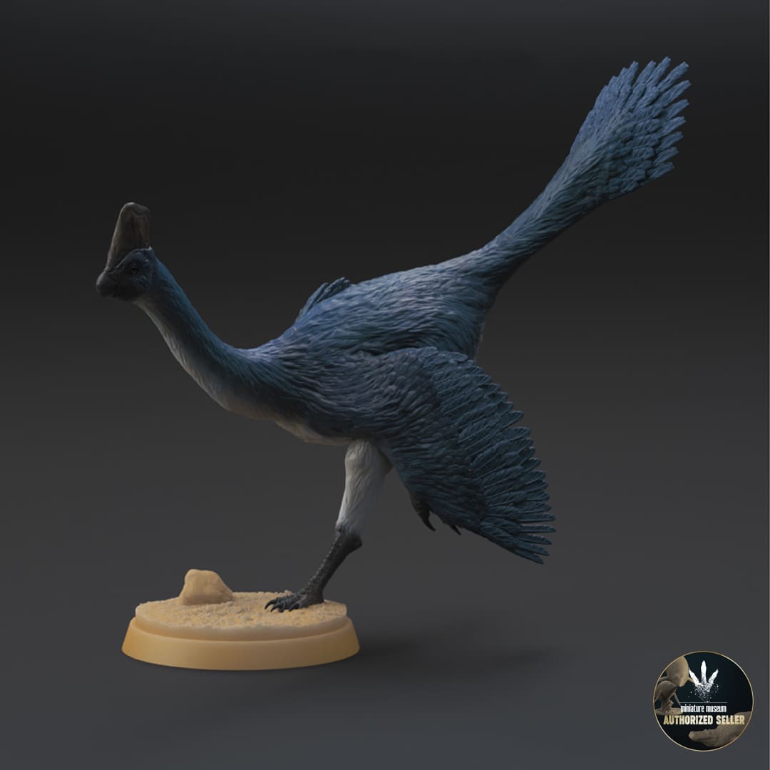 Corythoraptor jacobsi – dinosauriacreatures