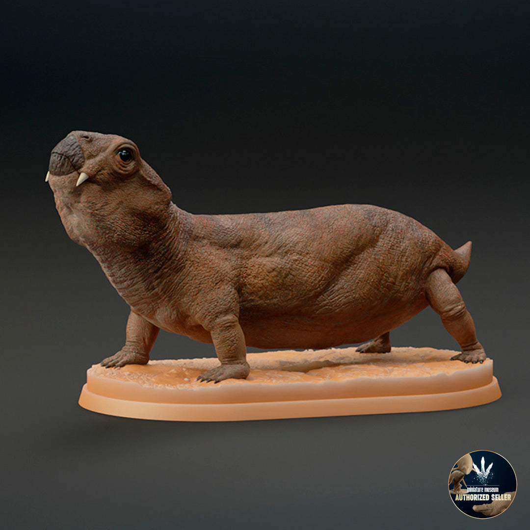Diictodon feliceps – dinosauriacreatures