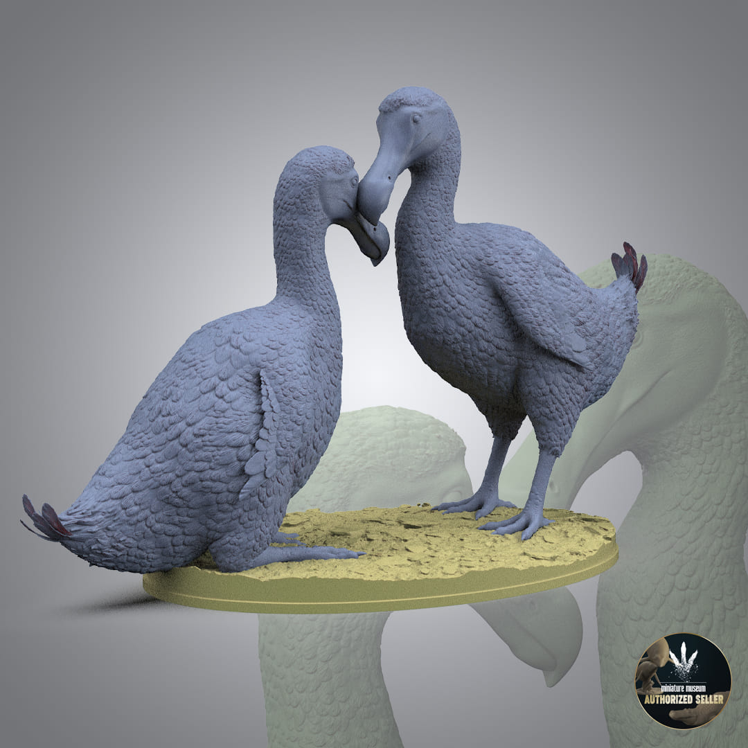 Raphus cucullatus – Dinosauria Creatures
