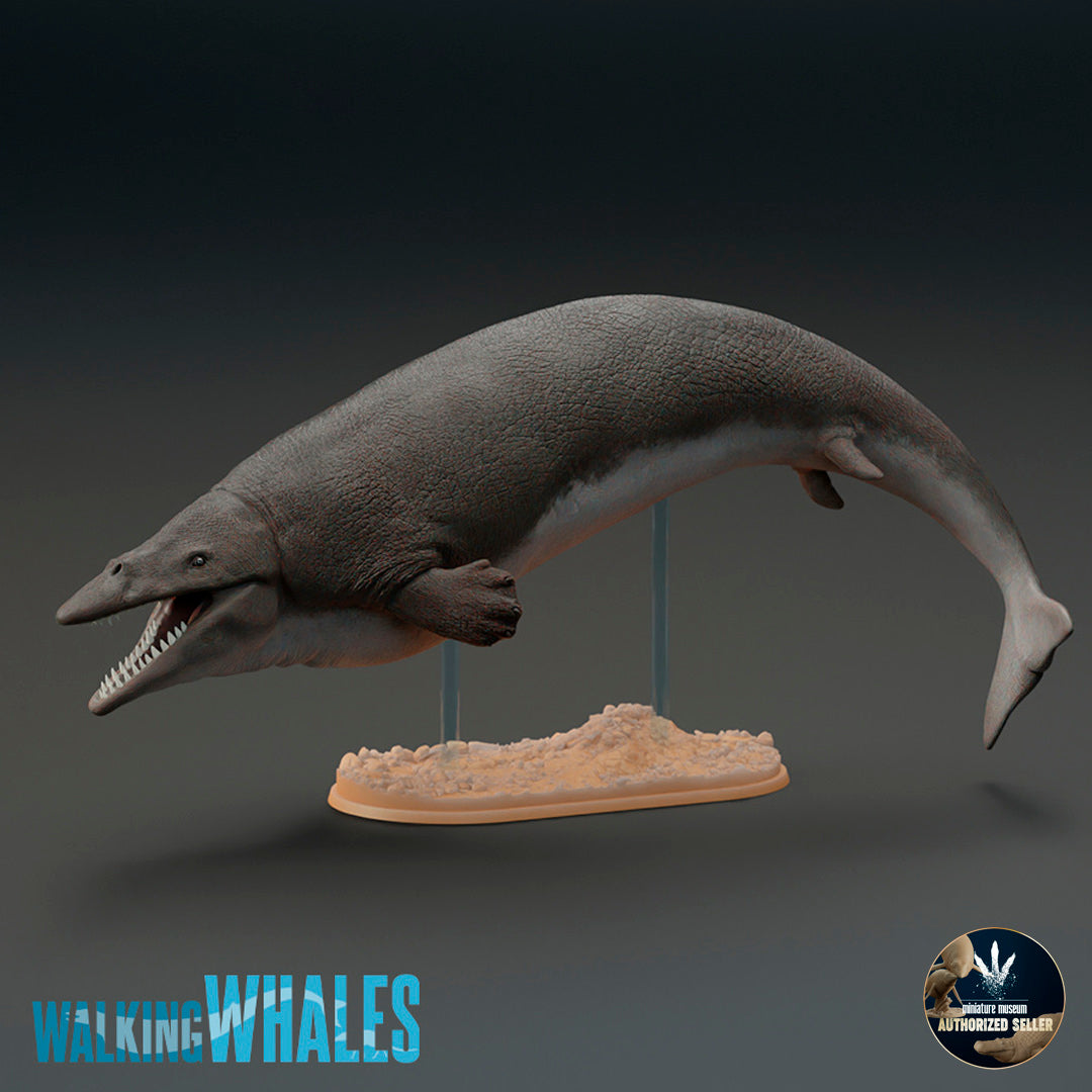 Dorudon atrox – Dinosauria Creatures