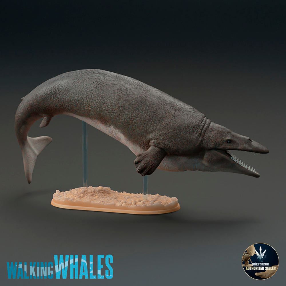 Dorudon atrox – Dinosauria Creatures