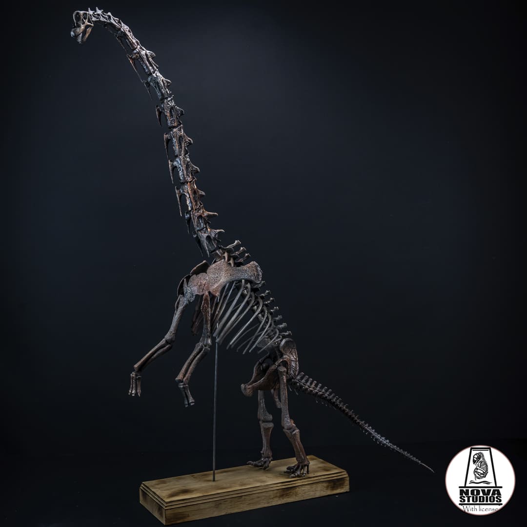 Giraffatitan brancai – Dinosauria Creatures