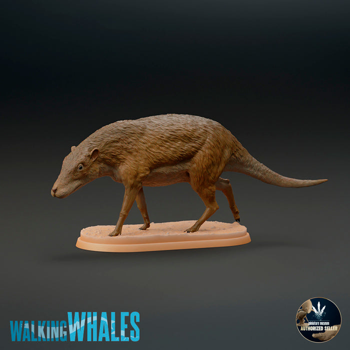 Indohyus indirae – Dinosauria Creatures