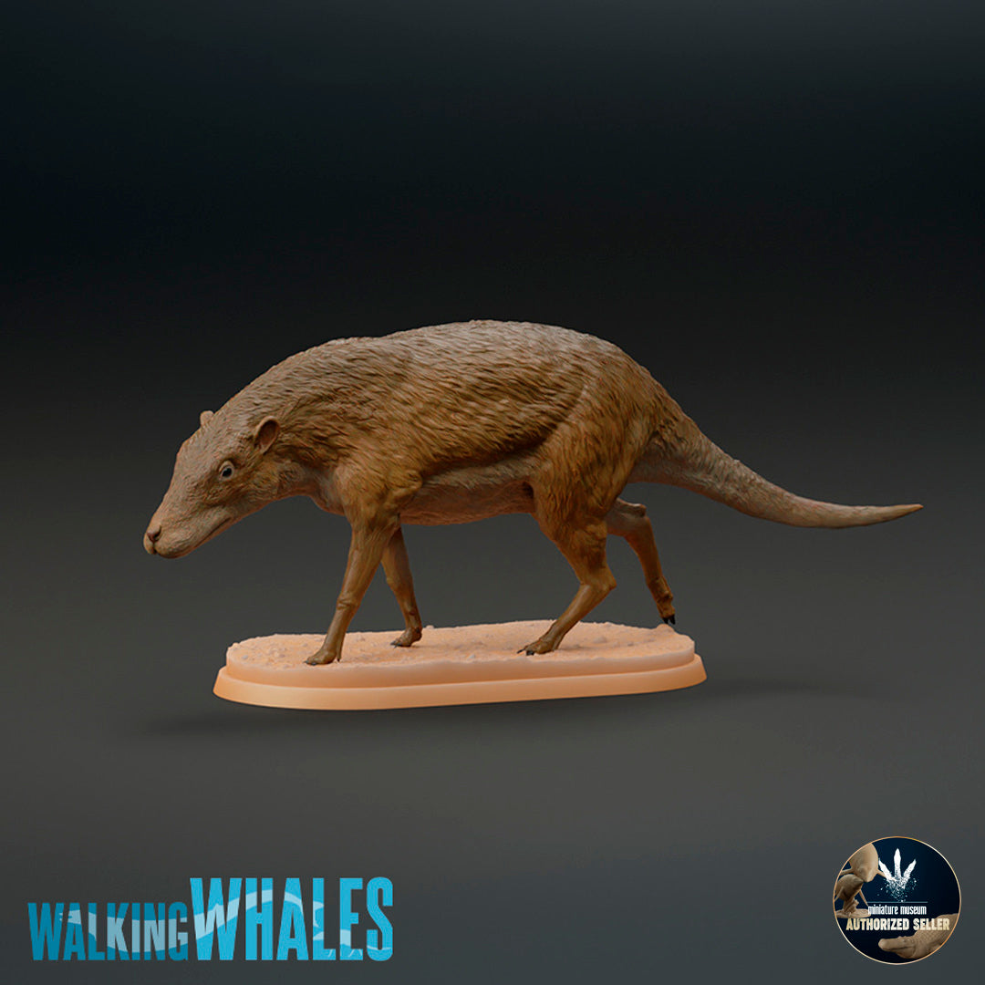 Indohyus indirae – dinosauriacreatures