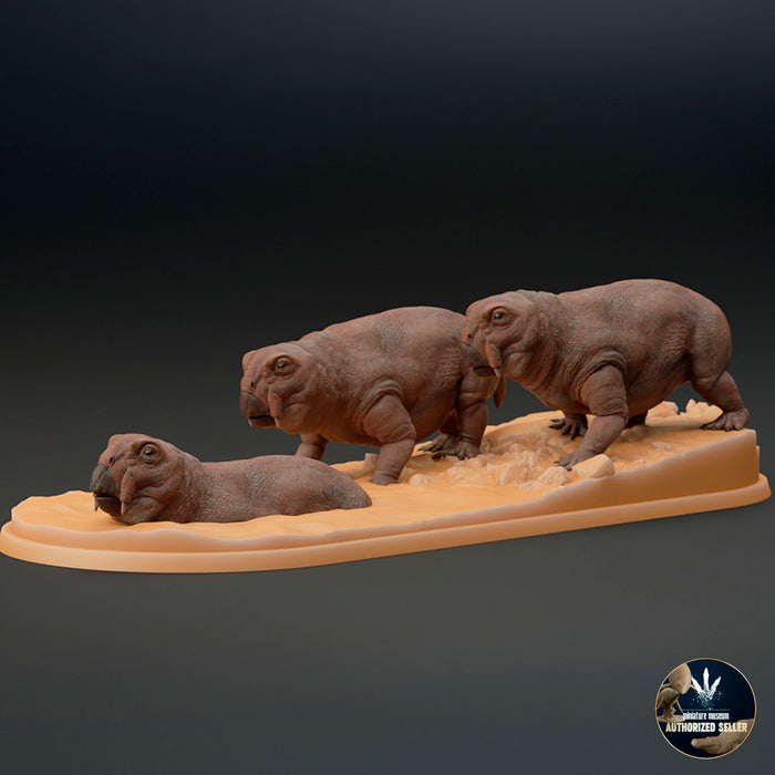 Lystrosaurus murrayi – Dinosauria Creatures