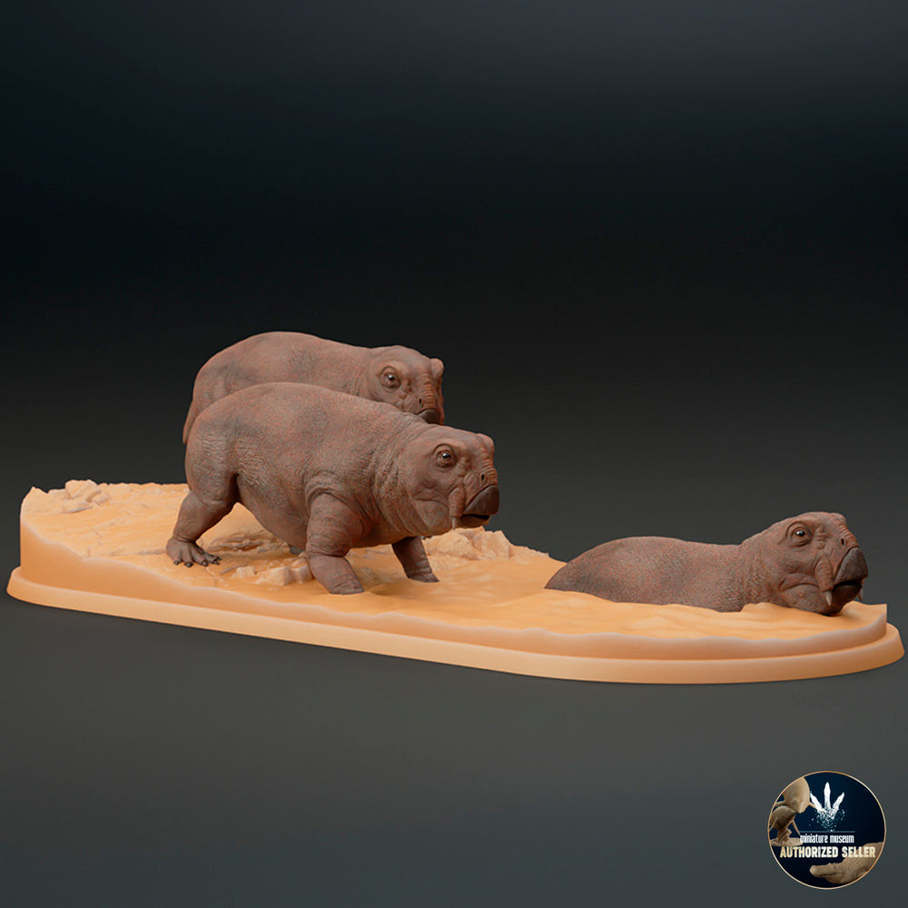 Lystrosaurus murrayi – Dinosauria Creatures