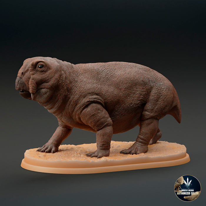 Lystrosaurus murrayi – Dinosauria Creatures