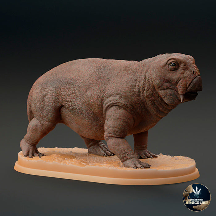 Lystrosaurus murrayi – Dinosauria Creatures