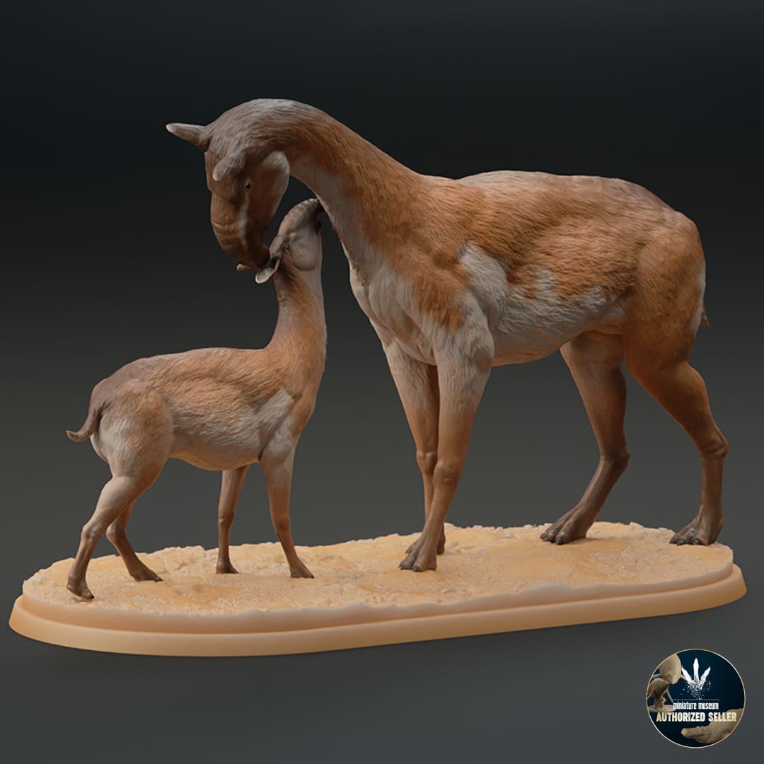 Macrauchenia patachonica – dinosauriacreatures