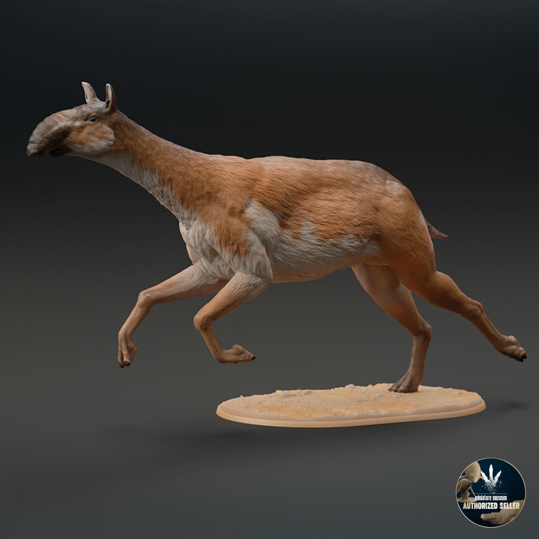 Macrauchenia patachonica – Dinosauria Creatures