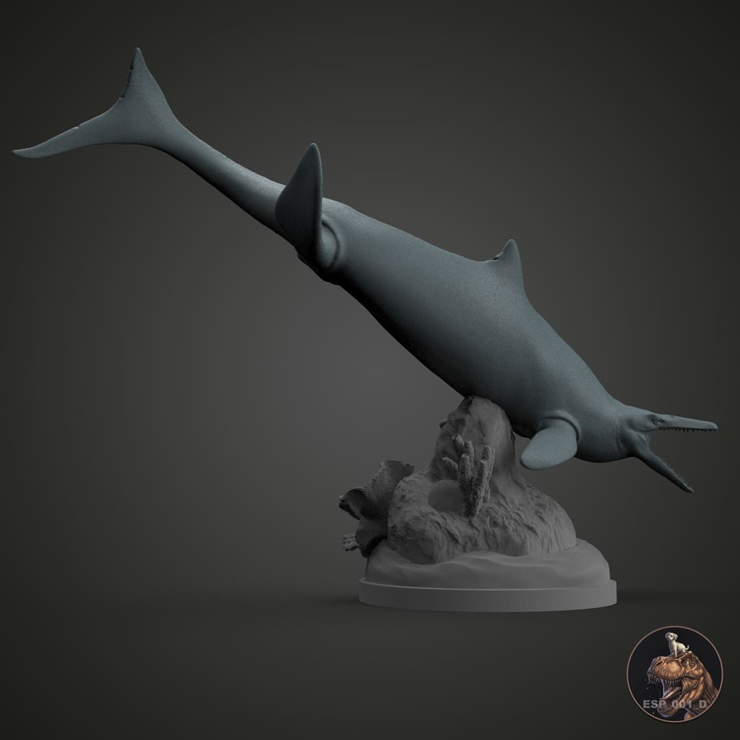 Megapterygius wakayamaensis – Dinosauria Creatures