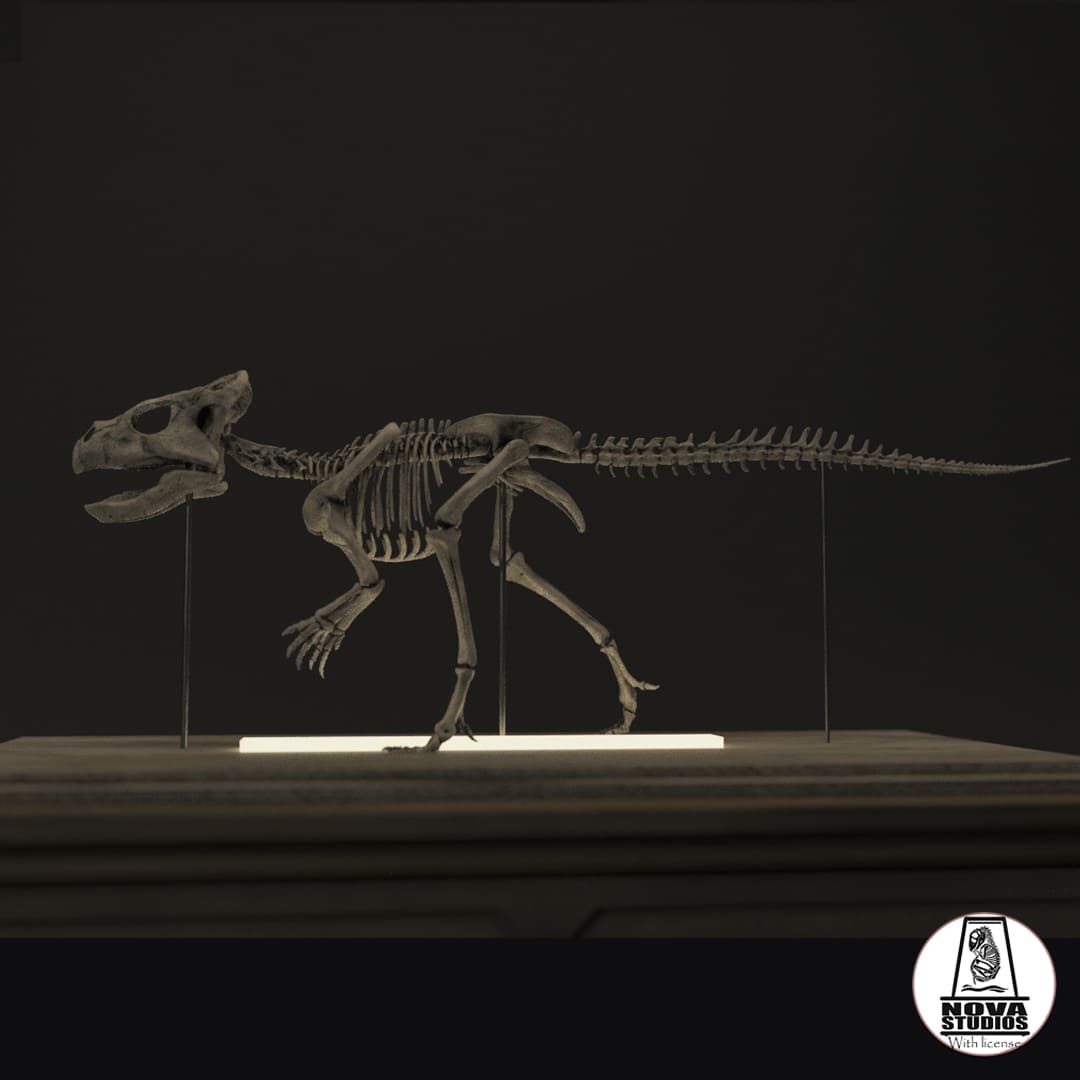 Microceratus gobiensis – Dinosauria Creatures