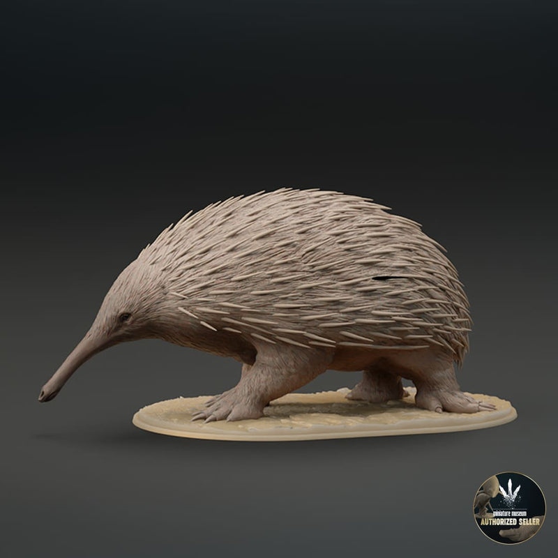 Murrayglossus hacketti – Dinosauria Creatures