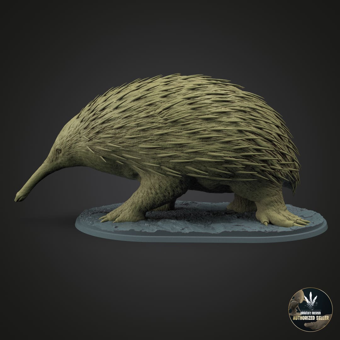 Murrayglossus hacketti – Dinosauria Creatures