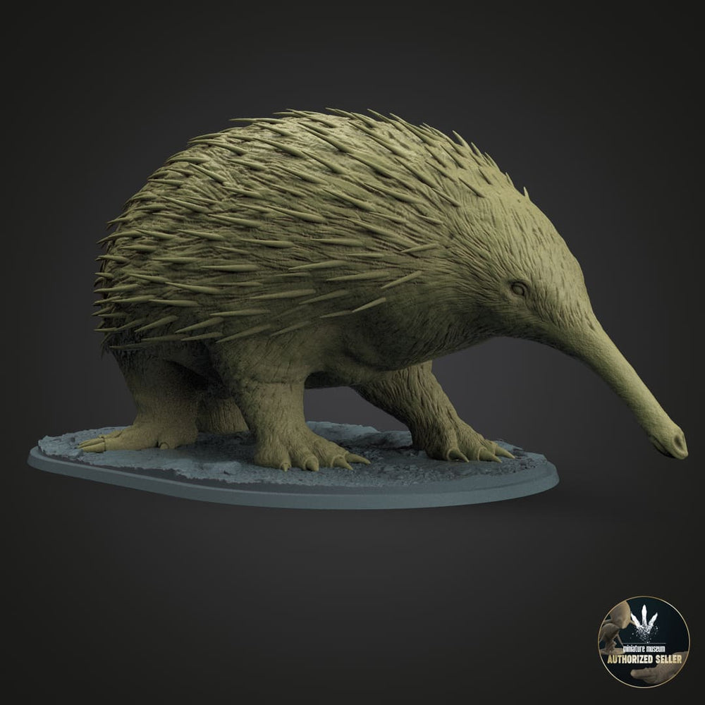 Murrayglossus hacketti – Dinosauria Creatures