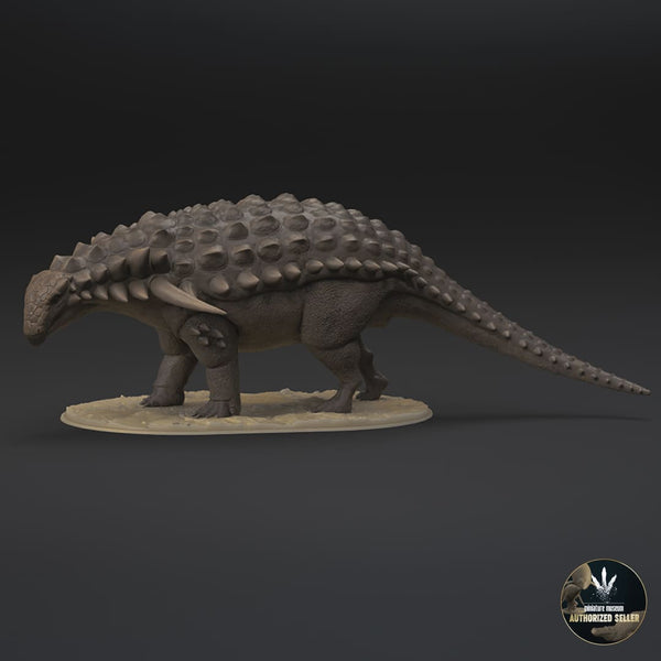 Nodosaurus textilis – Dinosauria Creatures