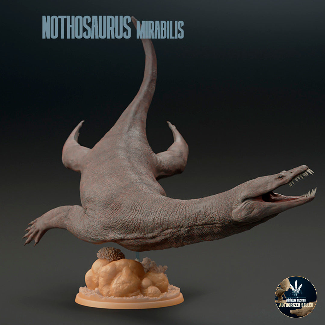 Nothosaurus mirabilis – Dinosauria Creatures