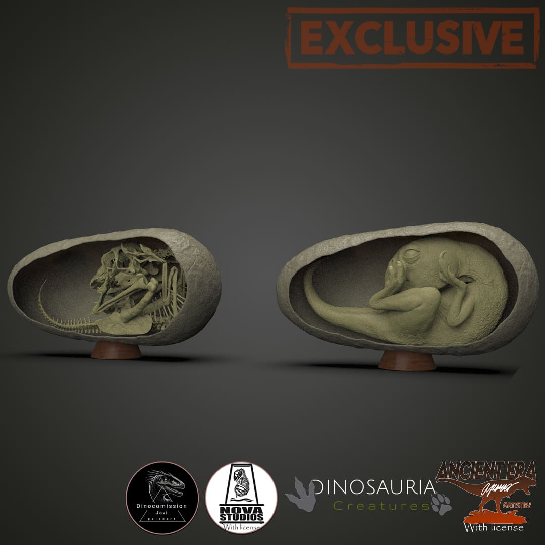 Baby Yingliang, the Oviraptor embryo – Dinosauria Creatures