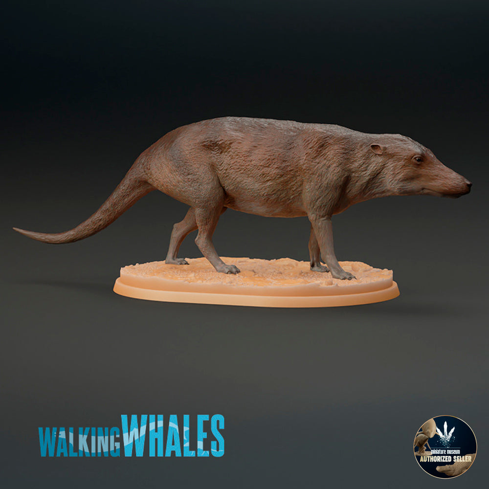 Pakicetus inachus – Dinosauria Creatures