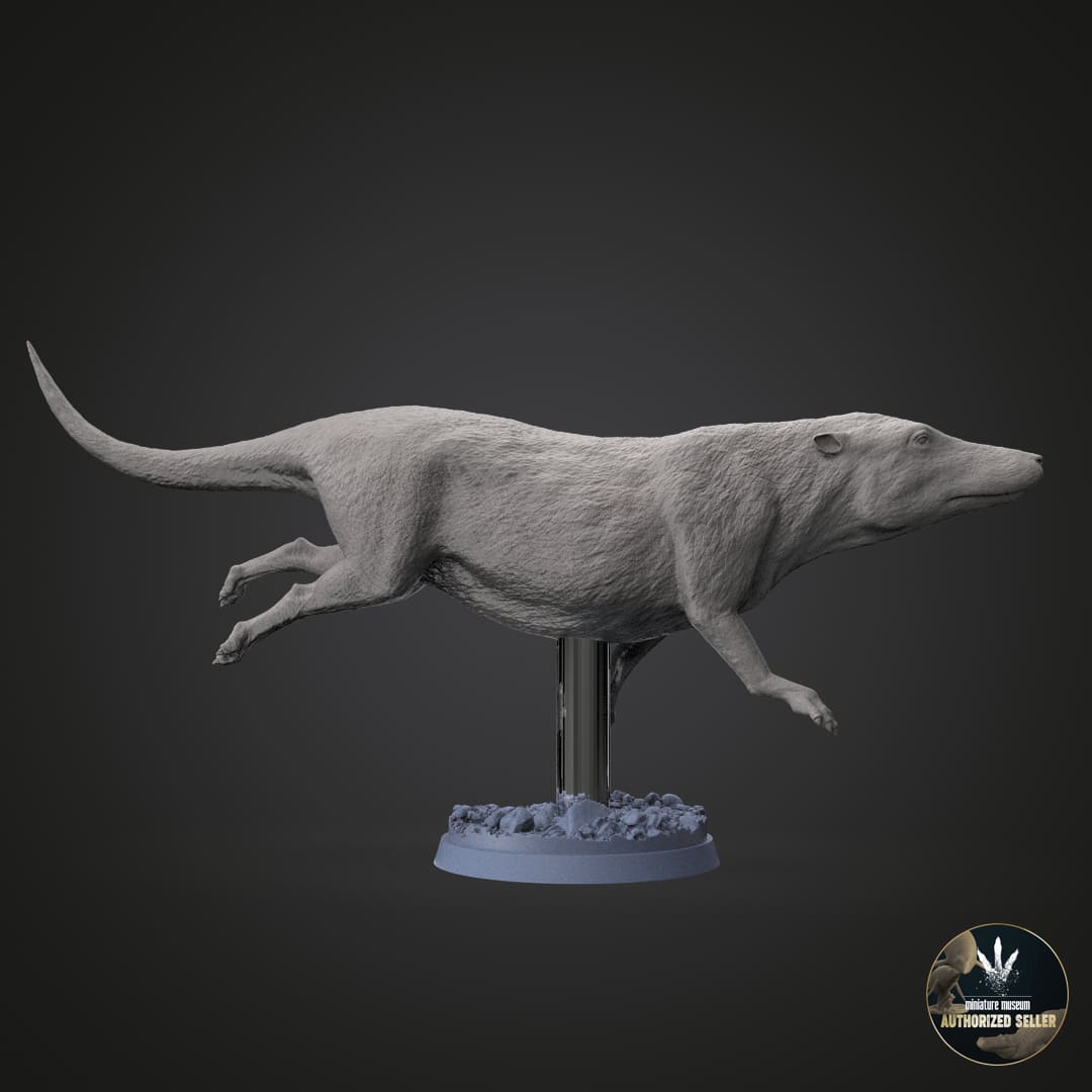 Pakicetus inachus – Dinosauria Creatures