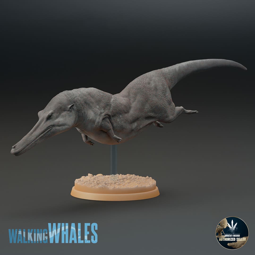 Remingtonocetus harudiensis – Dinosauria Creatures