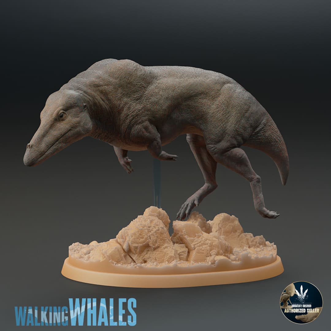 Rodhocetus kasrani – Dinosauria Creatures