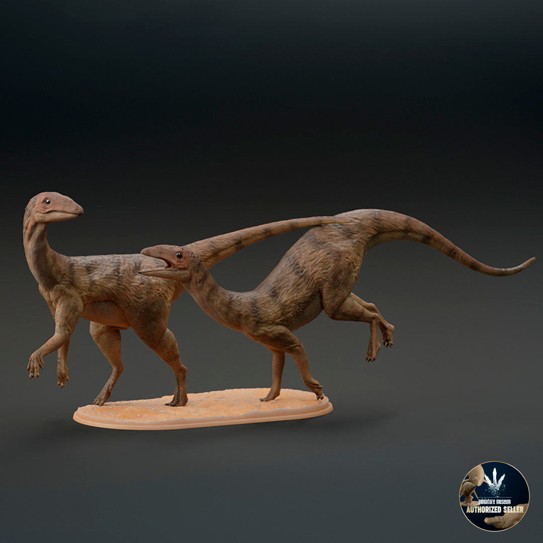 Silesaurus opoliensis – Dinosauria Creatures