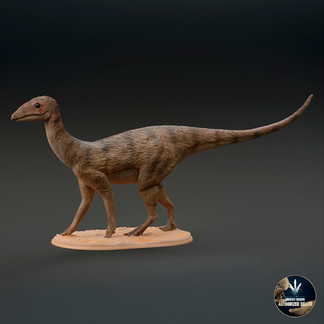 Silesaurus opoliensis – Dinosauria Creatures