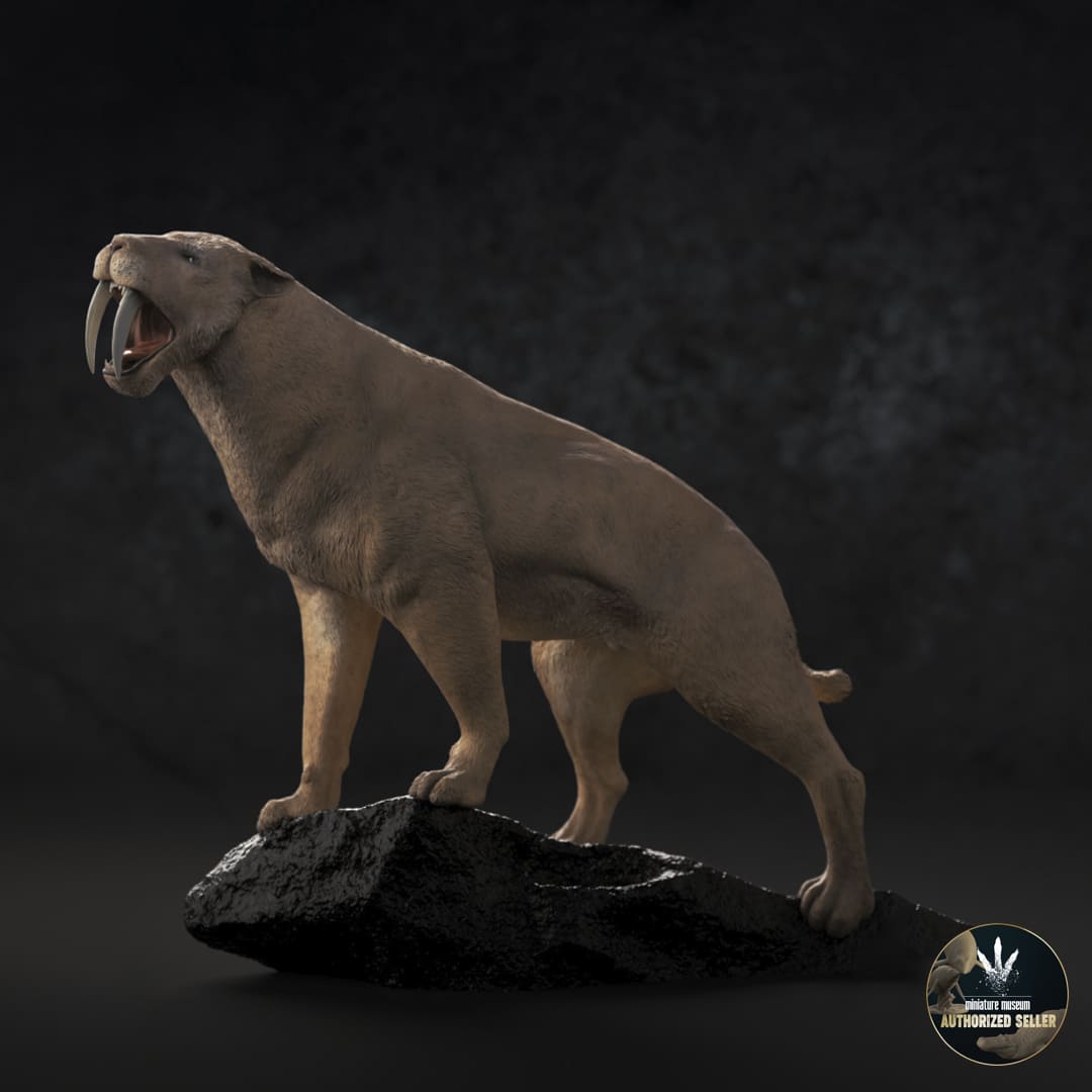 Smilodon populator – Dinosauria Creatures