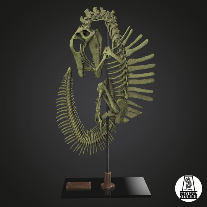 Spinosaurus aegyptiacus fetus – Dinosauria Creatures