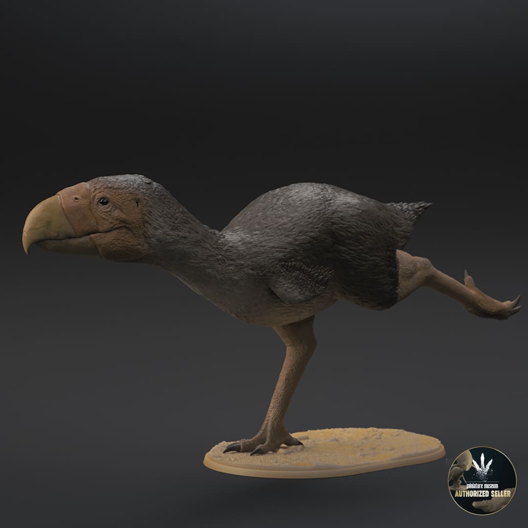 Titanis walleri – Dinosauria Creatures