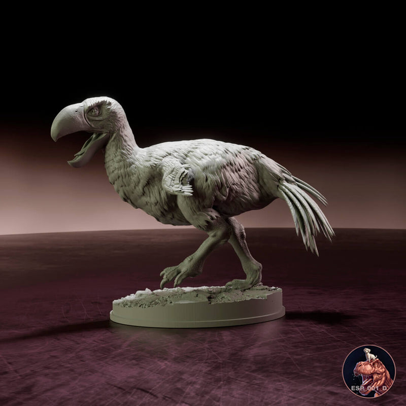 Brontornis burmeisteri – Dinosauria Creatures