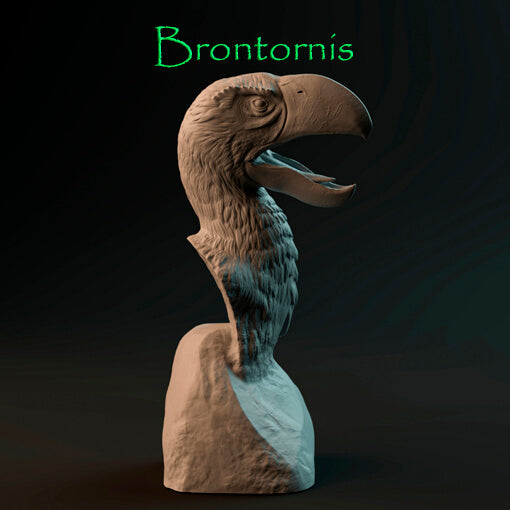 Brontornis – Dinosauria Creatures