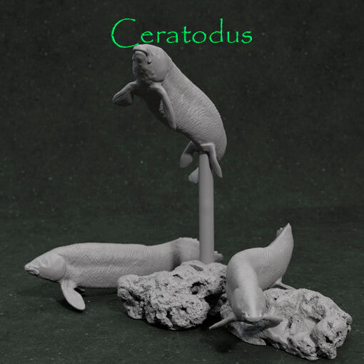 Ceratodus – Dinosauria Creatures