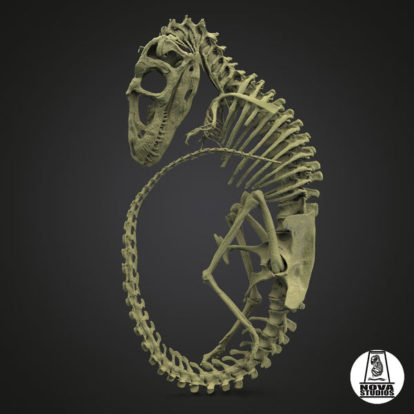 Tyrannosaurus rex fetus – Dinosauria Creatures