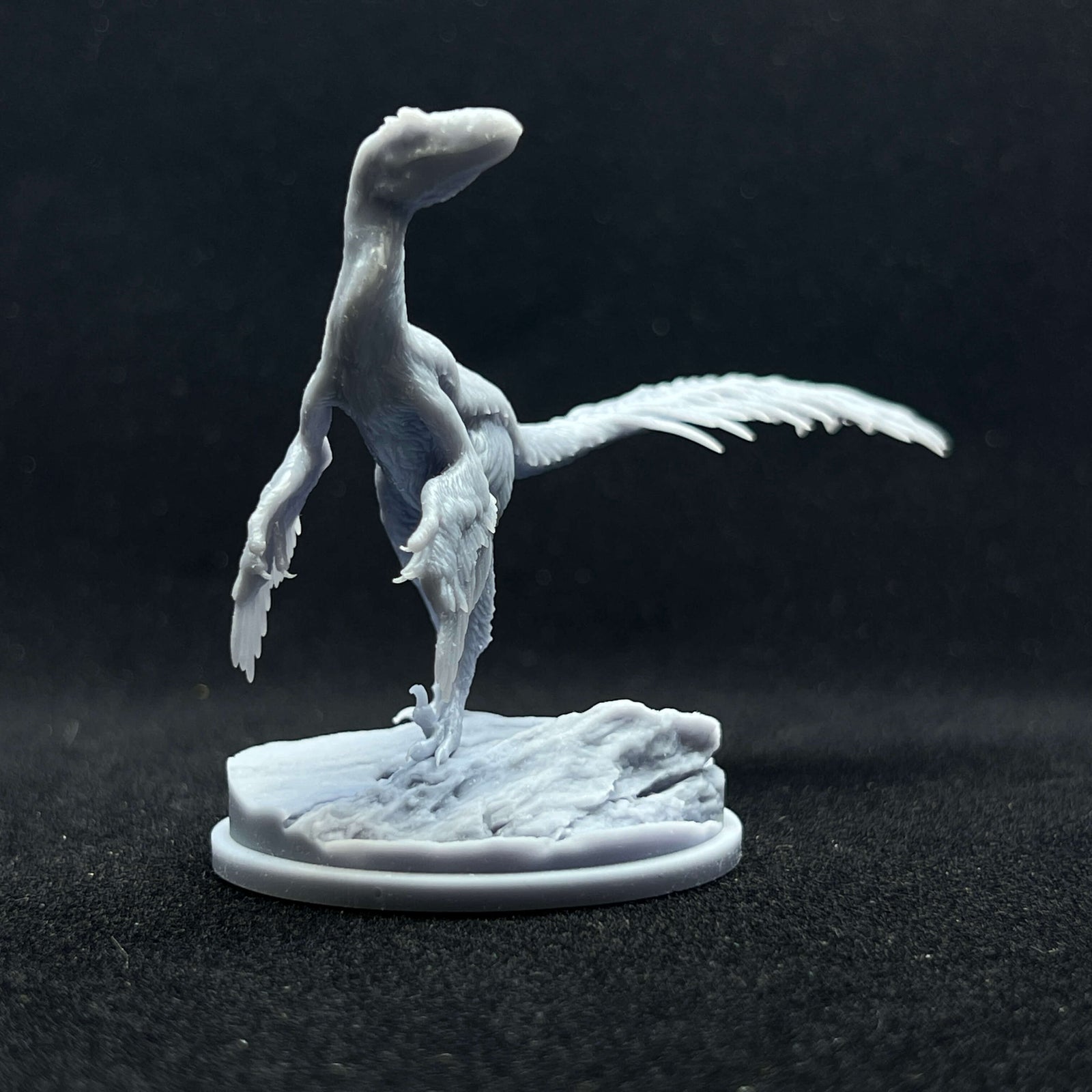 Troodon – Dinosauria Creatures