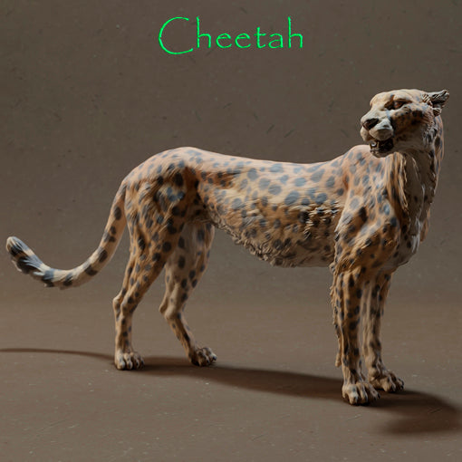Cheetah – Dinosauria Creatures