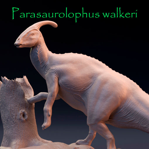 Parasaurolophus walkeri – Dinosauria Creatures